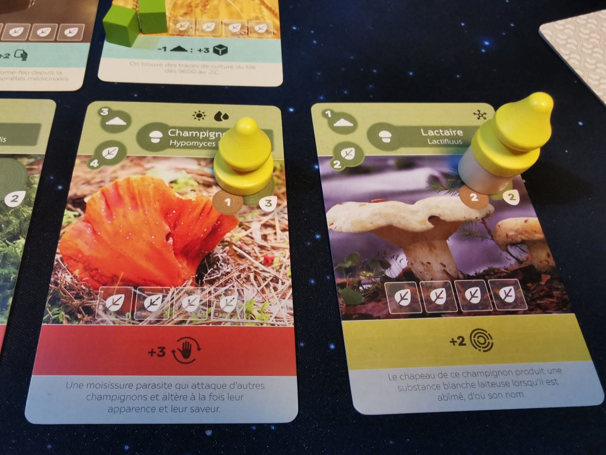 Avis et test du jeu de société Earth (Lucky Duck Games) - Le blog de ...